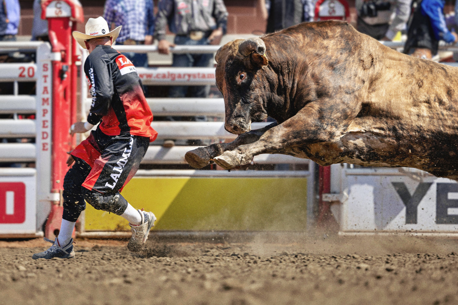 Bucking Chutes - Western Apparel – Bucking Chutes Inc